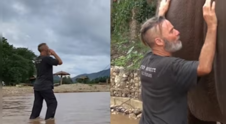 Heartwarming video of elephants reuniting with human friend